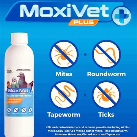Vetafarm Moxivet Plus 50ml250ml For Birds Loyalpetzone India