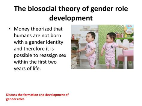 Ppt Discuss The Formation And Development Of Gender Roles Powerpoint