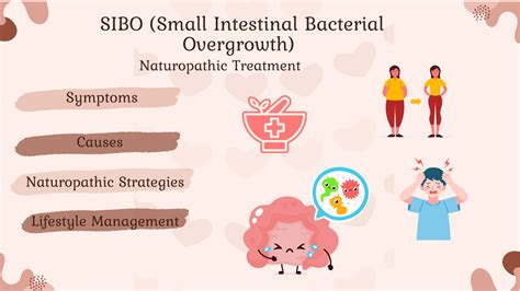 Sibo Natural Treatment Sibo Symptoms And Causes