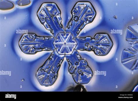 Ice Under Microscope