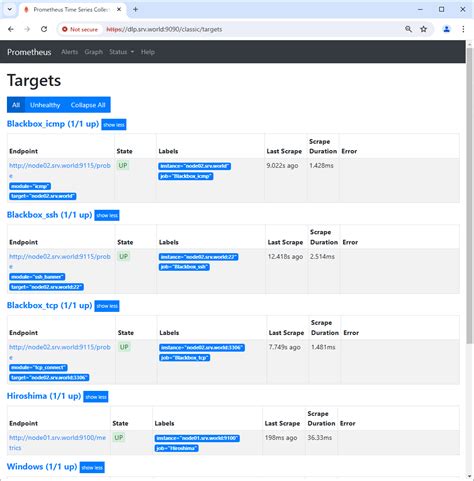 Ubuntu 24 04 Prometheus Set Blackbox Exporter Server World