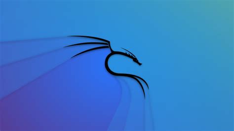 Kali Linux Blue Wallpapers Top Free Kali Linux Blue Backgrounds