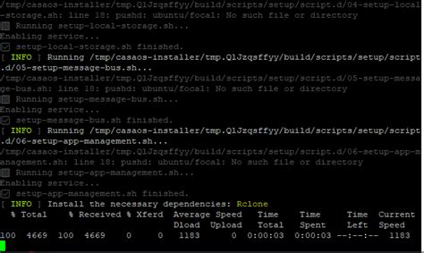 Bug Stuck On Installing Rclone · Issue 919 · Icewhaletechcasaos · Github