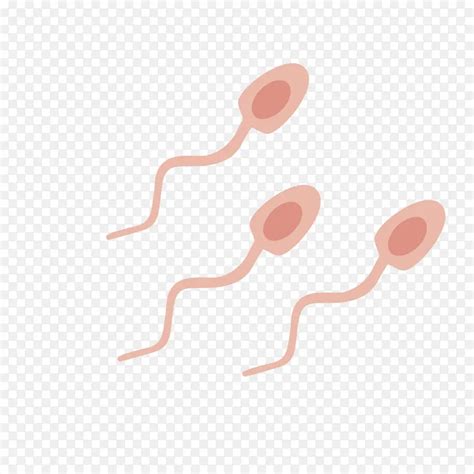 卡通精子png下载png图片素材下载图片编号yvveorkj 免抠素材网