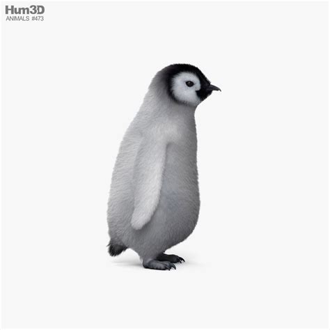Pollito Pinguino Modelo 3d Descargar Aves On