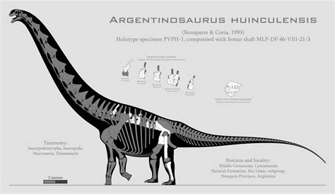 Titanosaur Fossil Argentina Argentinian Titanosaur May Be Oldest Yet