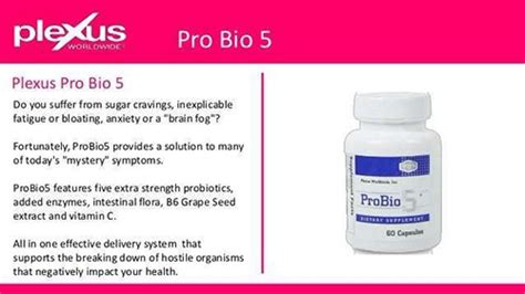 Plexus Probio5 Review Is It Legit Or A Scam Alt Protein