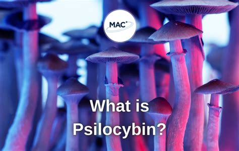 What Is Psilocybin Mac Clinical Research