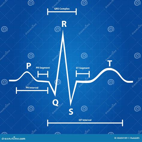 Normal Electrocardiogram Graphic Stock Vector Illustration Of Blue Curve 46604189