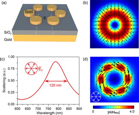 Structure Of The Toroidal Structure And Its Optical Response Under