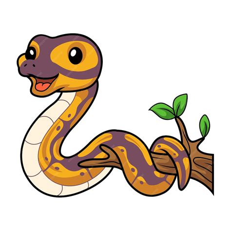 Premium Vector Cute Banana Ball Python Snake Cartoon On Tree Branch