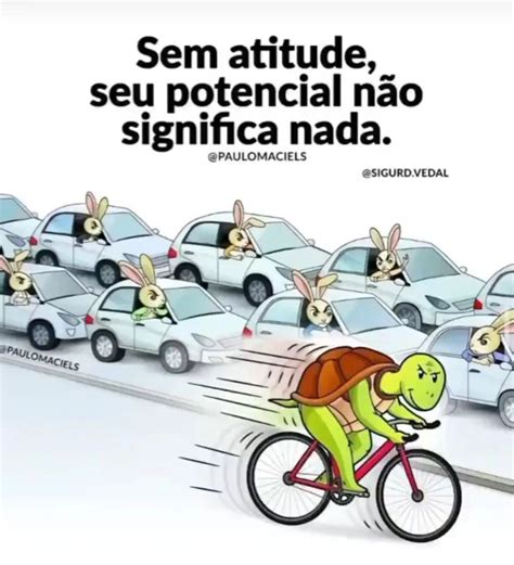 Beatriz Vasconcellos Rodrigues Posted On Linkedin