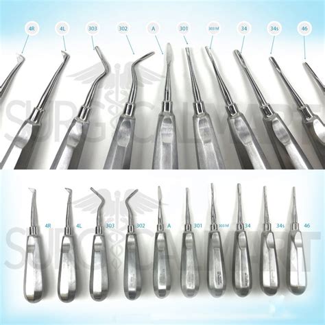 10 Pcs Dental Elevators Set Extraction Surgical Instruments