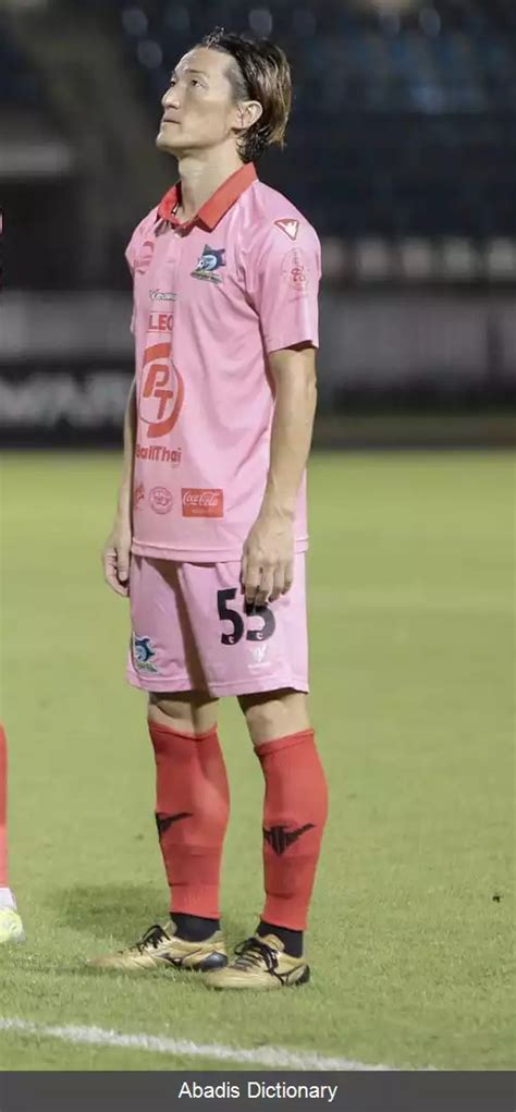 میتسوهیرو سکی معنی در دیکشنری آبادیس