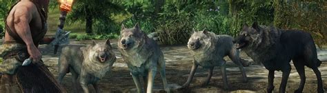Wolves Of Cyrodiil My Optimized Textures Le By Xtudo At Skyrim Nexus