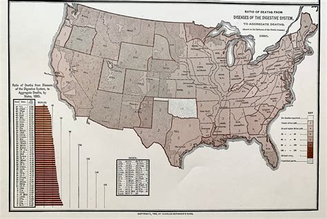 Diphtheria Chart Original 1883 Census Atlas Chart Digestive System Mortality Medical Etsy