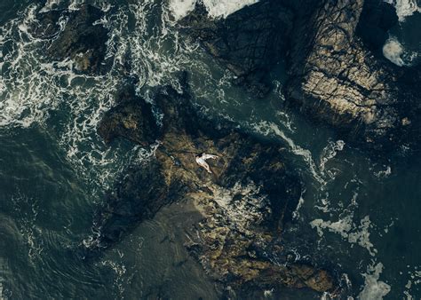 Assignmentsweb Hahahaha Funny D P D Student Study Love Books