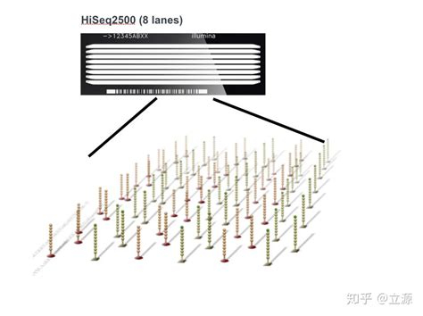 第一章 Rna Seq入门 知乎