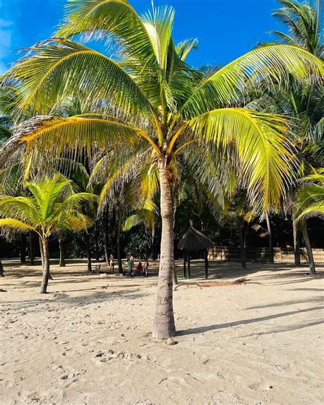 Best Beaches In Senegal 🇸🇳 Top Senegal Beach Spots