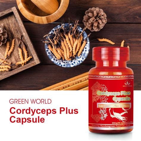 Cordyceps Plus Capsule Greenworld Gresswold