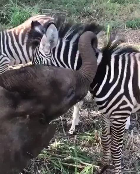 Saman Jayawardane Posted On Linkedin