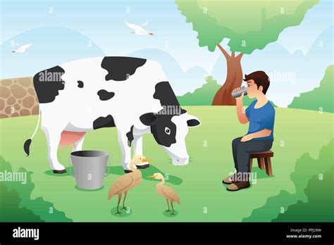 Man Drinking Milk From Cow