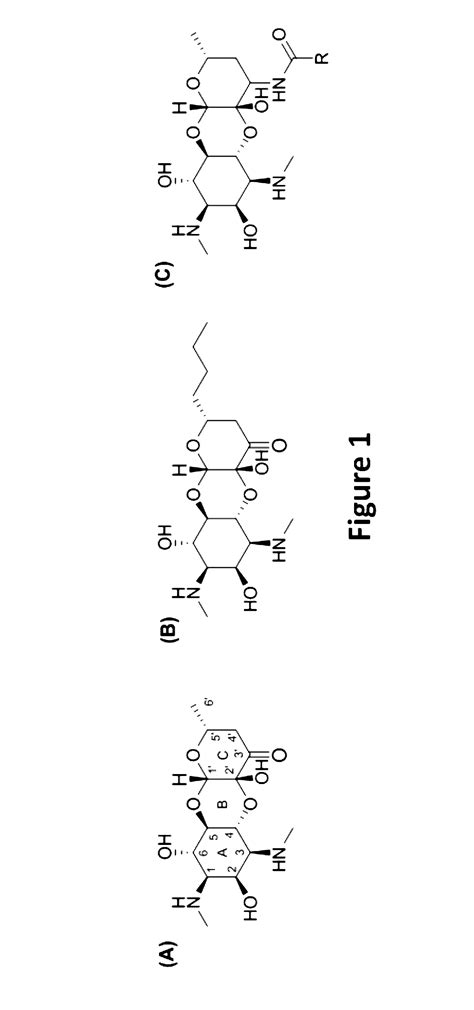 Aryl Substituted Aminomethyl Spectinomycin Analogs As Antibacterial Agents Eureka Patsnap