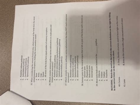 Solved A Posterior Column Pathway B Anterolateral Pathway