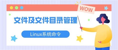 Linux系统命令——文件与文件目录管理 知乎
