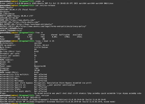 Xcomp选项运行用例comalibabawispbugtestwispsocketleakwhenconnectrefusedjava失败 · Issue 418