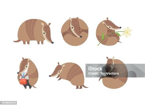 Ilustración De Lindo Personaje De Armadillo Con Caparazón De Armadura
