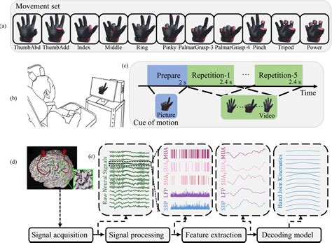Figure 1 From Decoding Joint Level Hand Movements With Intracortical