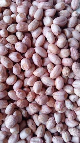 Small Peanuts At Rs 100kg Groundnut Seeds In Surat Id 27466904948