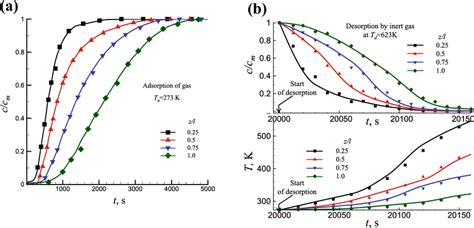 Examples Of Time Dependencies Of The Normalized Concentrations In The Download Scientific
