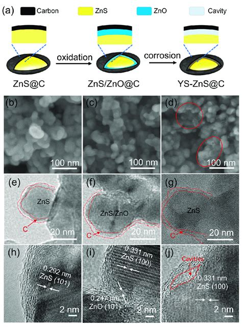 A Schematic Illustrations For The Formation Process Of Yolk Shell Download Scientific Diagram