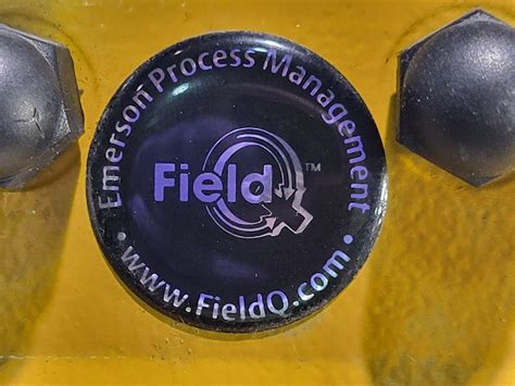 Velan 1in Class 150 Flanged Ball Valve W330 W Emerson Fieldq Actuator