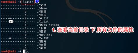 Kali基础命令篇： Chattr与sattr文件属性 知乎