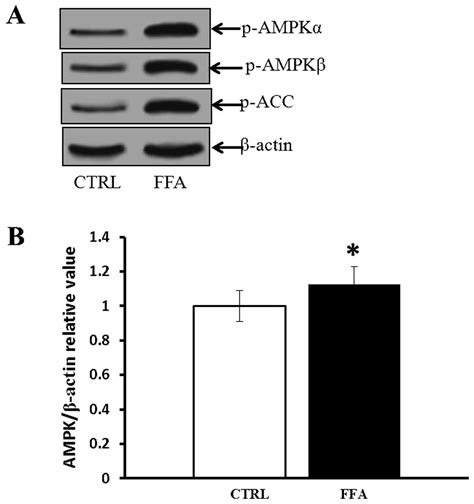 Flufenamic Acid Promotes Angiogenesis Through Ampk Activation