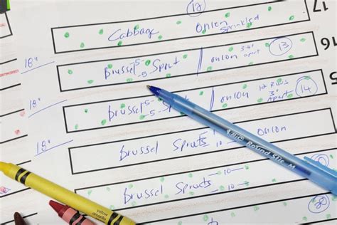 Garden Mapping How To Plan And Organize Your Vegetable Garden · Hidden Springs Homestead