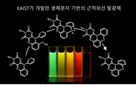 Kaist 생체 내 형광 분자 최초로 근적외선 발광 설계 나무뉴스
