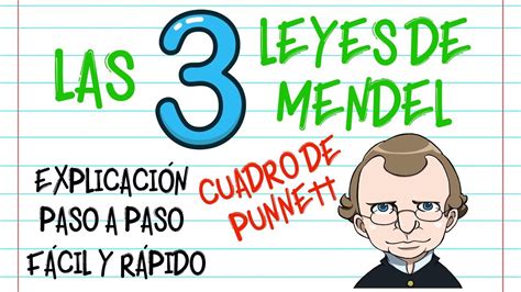 🌿las Leyes De Mendel Cuadro De Punnett Paso A Paso ExplicaciÓn Fácil