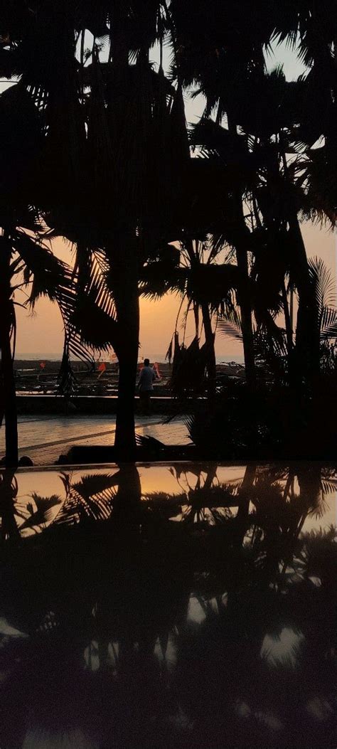 Sayed Aamir On Linkedin Sunset