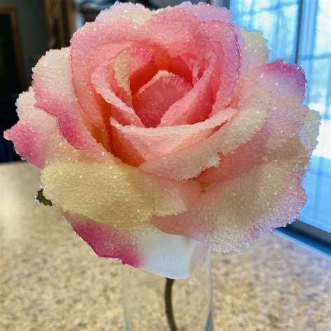 Diy Borax Crystal Flowers Craft Tutorial Borax Flower Making How To