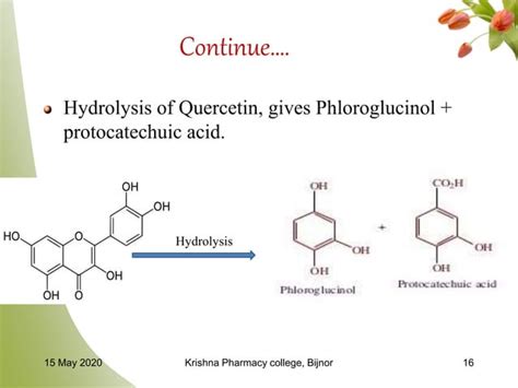 Extraction Isolation And Structure Elucidation Of Flavonoids Quercetin