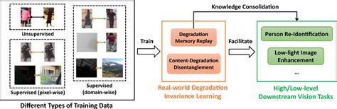 Our Proposed Real World Degradation Invariance Learning Dil Framework Download Scientific