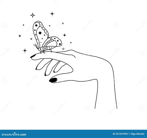 Night Moth Butterfly Vector Illustration Half Open Wings Design