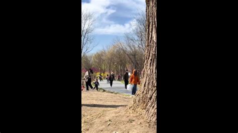Dust Devil Tornado Tears Through Park With Families Camping
