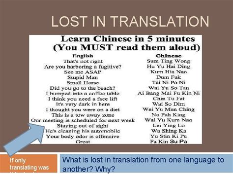 lost in translation if only translating was what