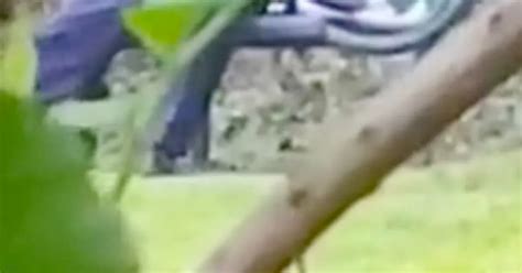 Met Police Pcso Caught Performing Sex Act On Public Bench Arrested The Mirror