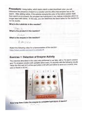 Bio Lab 6 Pdf Course Hero